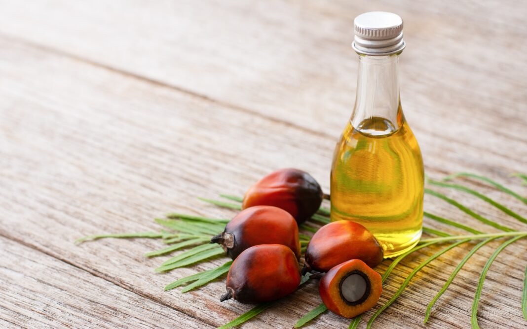 What is Batana Oil - Latest Research Included