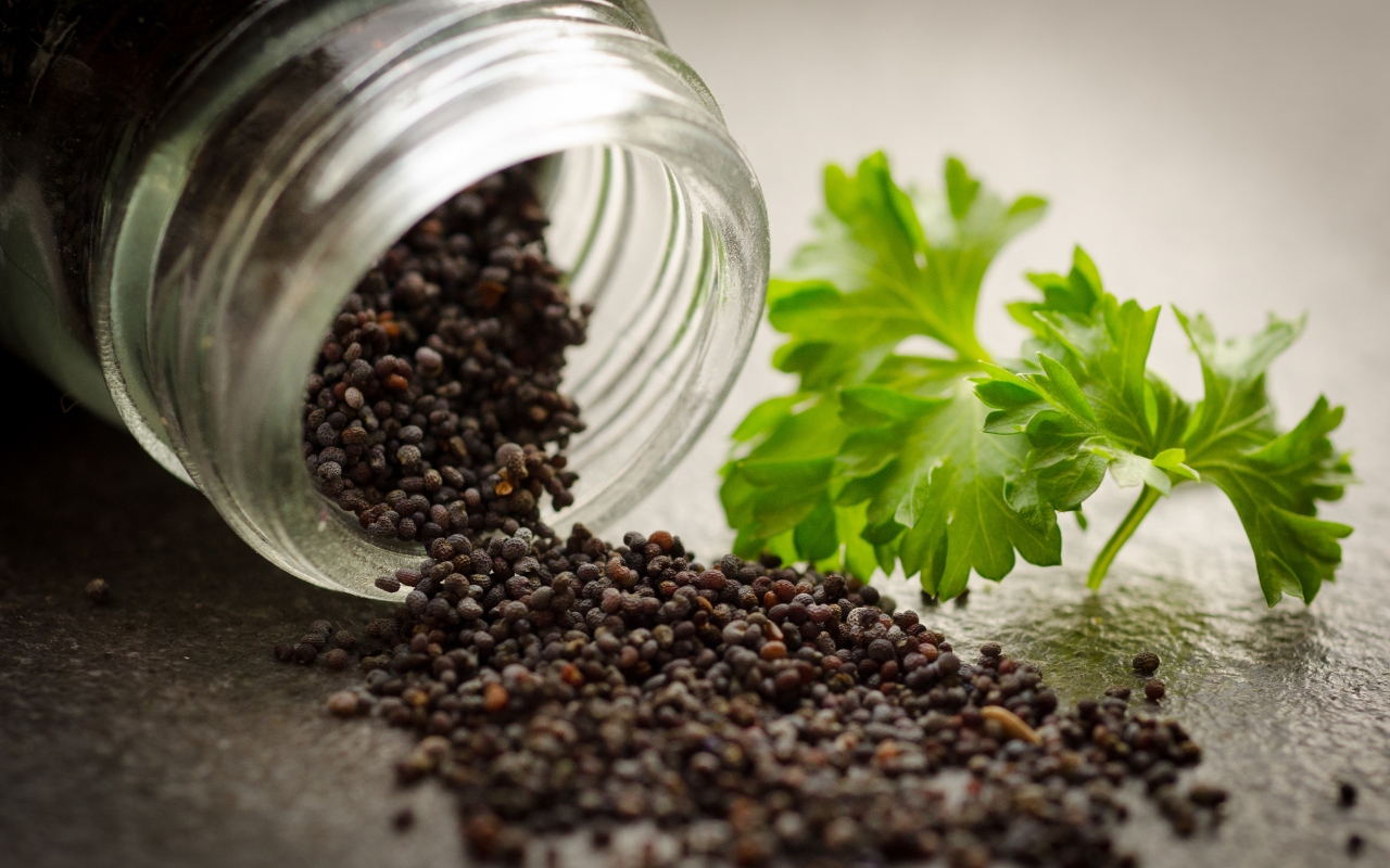 Black Pepper (Piperine) Latest Research Included