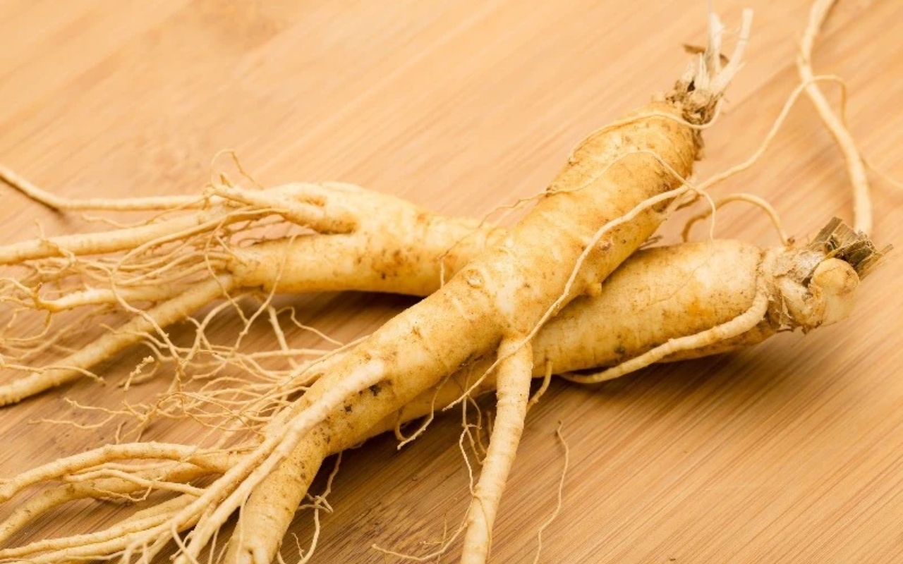 Ginseng - Review the Latest Research