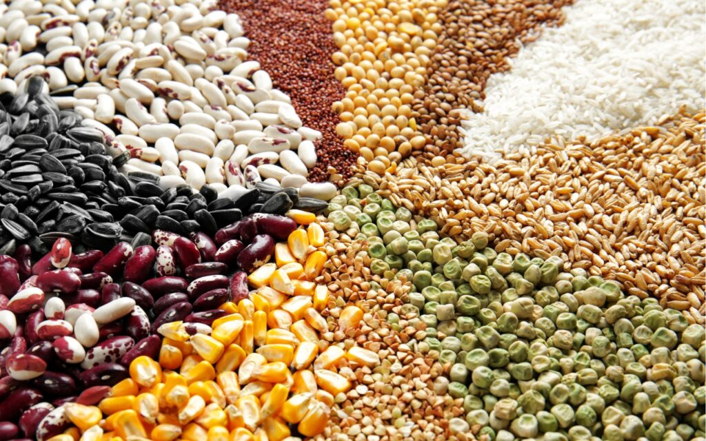 How do different types of food (e.g., whole grains vs. refined grains ...