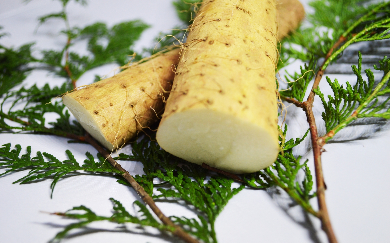 Wild Yam - Review the Latest Research