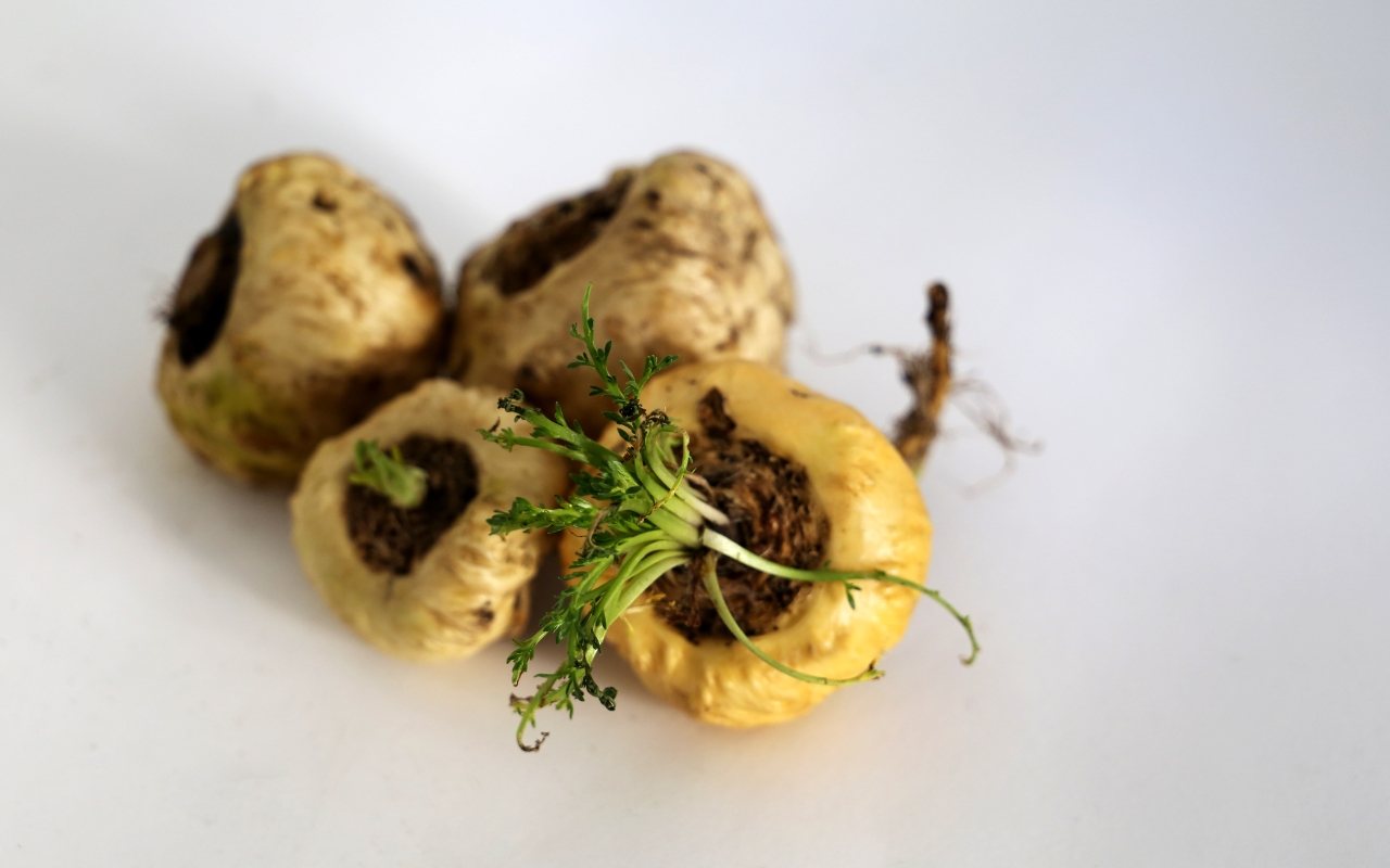 Maca Root - Latest Research Included