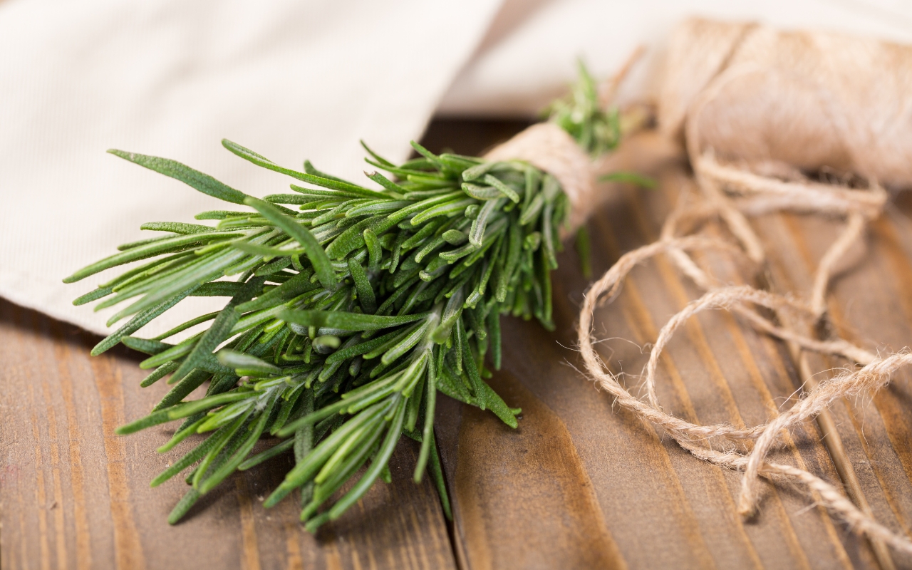 Rosemary - Latest Research Included