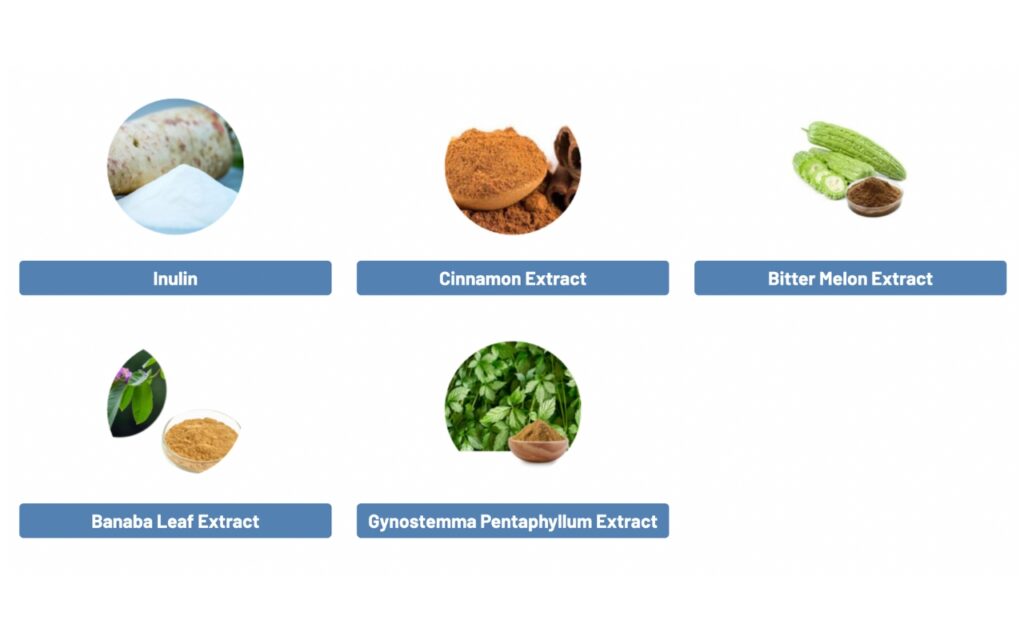GlycoFix – Latest Consumer Research Included